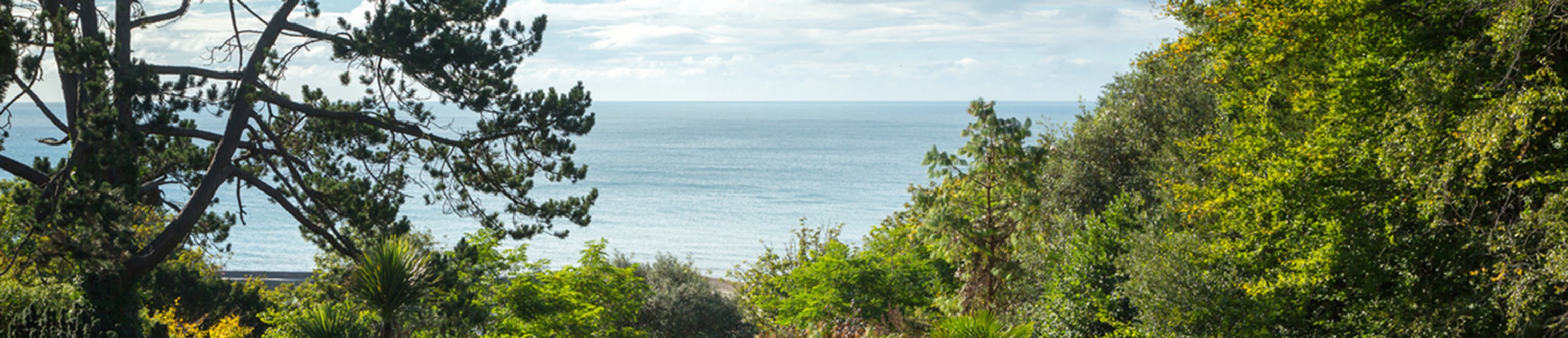 Belmont Open Day