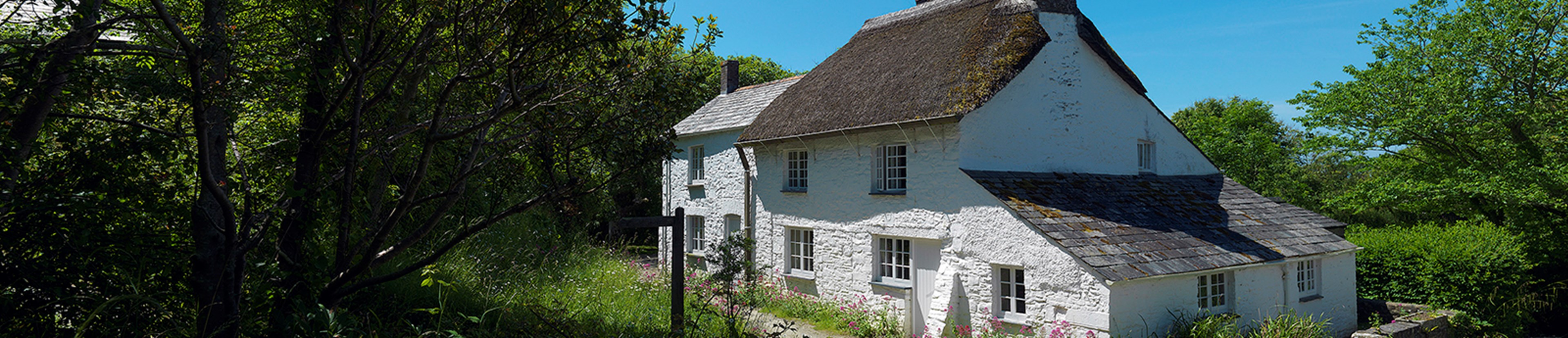 Mill House, 2